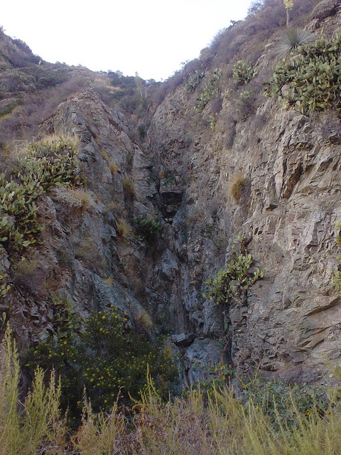 Cactus Slot - ropewiki