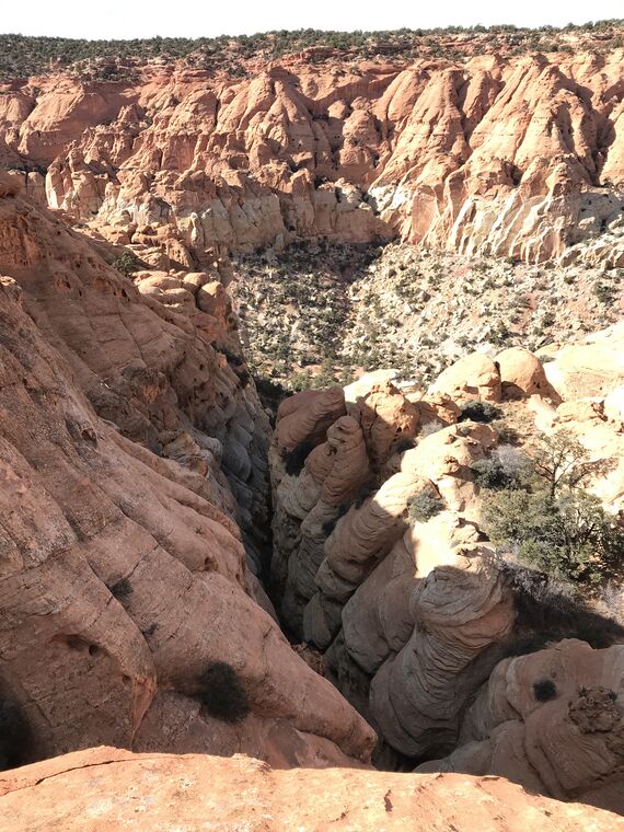 Rattle King - ropewiki