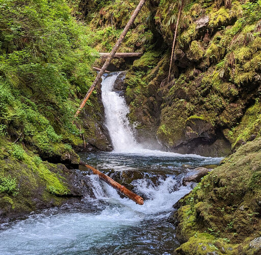 Cougar Creek - ropewiki
