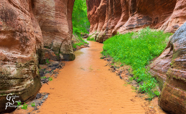 French Canyon - ropewiki