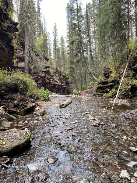 Little Hawaii (Telluride) - ropewiki
