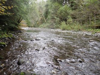 Satsop River Gorge (West Fork) - ropewiki