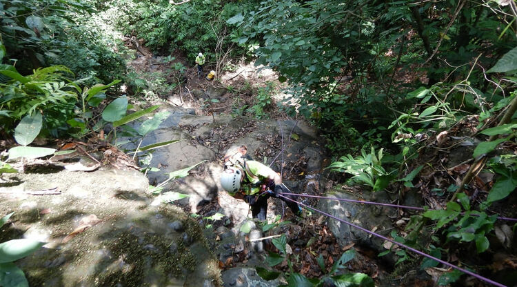 Mucus Bonita Ropewiki