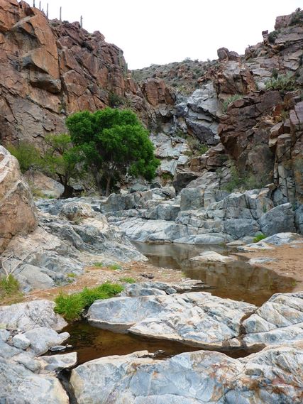 Bumble Bee Canyon (Antelope Falls) - ropewiki